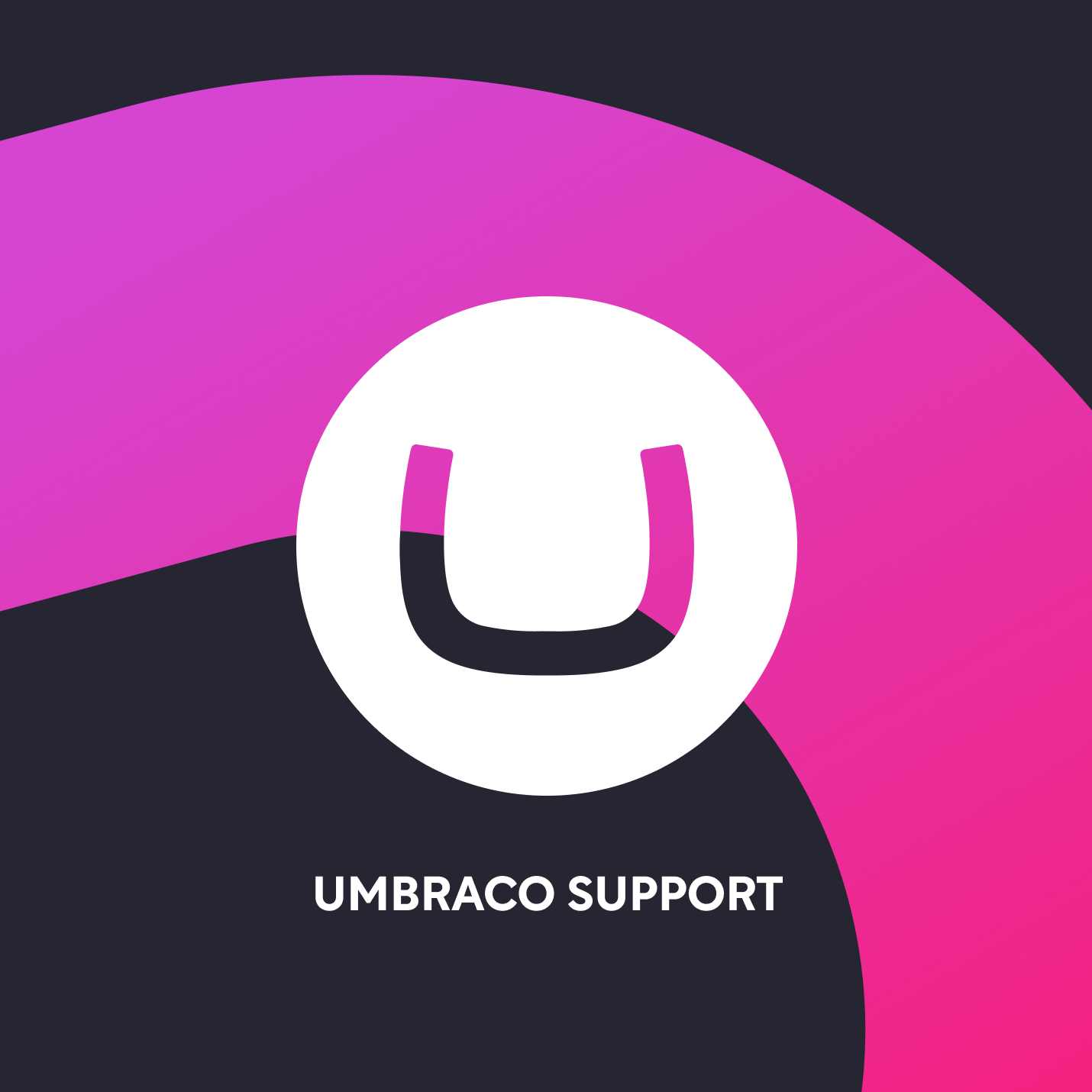 Umbraco Support & Maintenance Services | Reliable CMS Help | Cogworks
